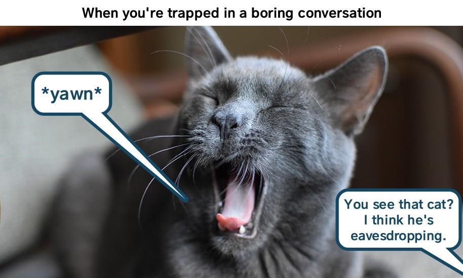 When you're trapped in a boring conversation - Lolcats - lol | cat ...