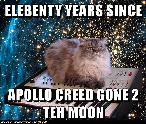 APOLLO CREED - Lolcats - lol | cat memes | funny cats | funny cat ...