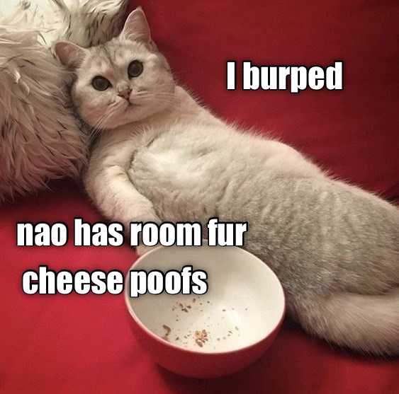 Lotsa cheese poofs! - Lolcats - lol | cat memes | funny cats | funny ...
