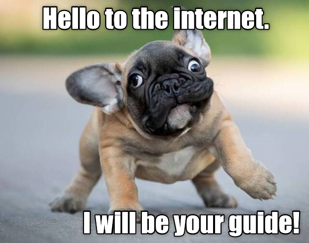 Derp dog - I Has A Hotdog - Dog Pictures - Funny pictures of dogs - Dog ...