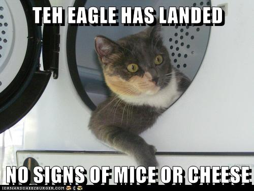 TEH EAGLE HAS LANDED NO SIGNS OF MICE OR CHEESE - Lolcats - lol | cat ...
