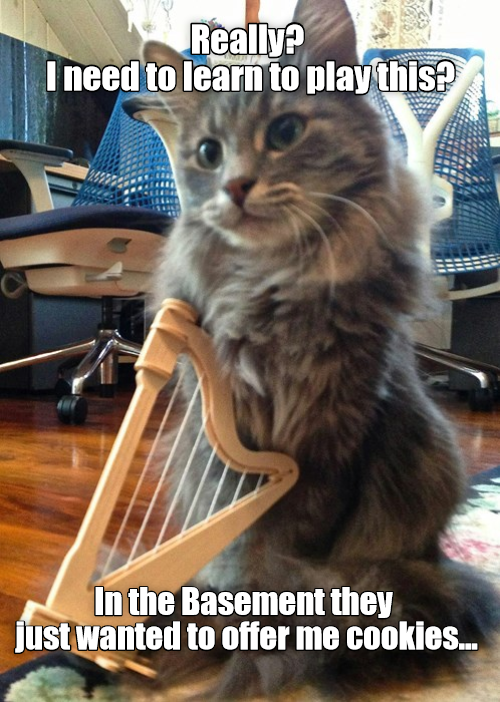 I really like music. Cookies, not so much... - Lolcats - lol | cat ...