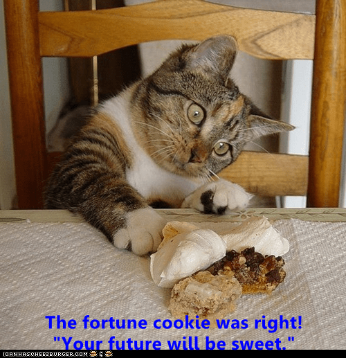 The fortune cookie was right! - Lolcats - lol | cat memes | funny cats | funny cat pictures with ...