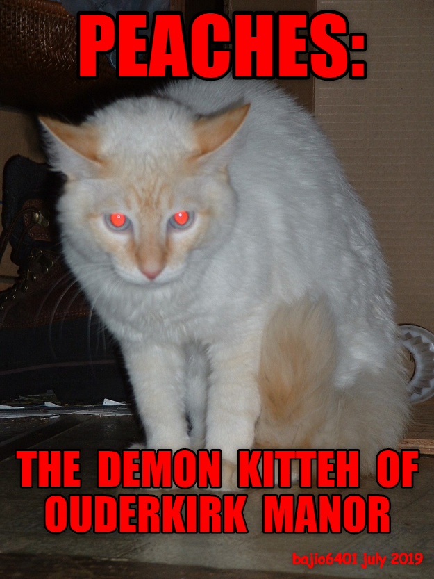 OUR PROTECTOR AND GUARDIAN - Lolcats - lol | cat memes | funny cats ...