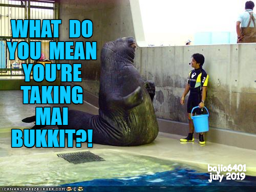 I HAVE QUESTIONS - Animal Comedy - Animal Comedy, funny animals, animal ...