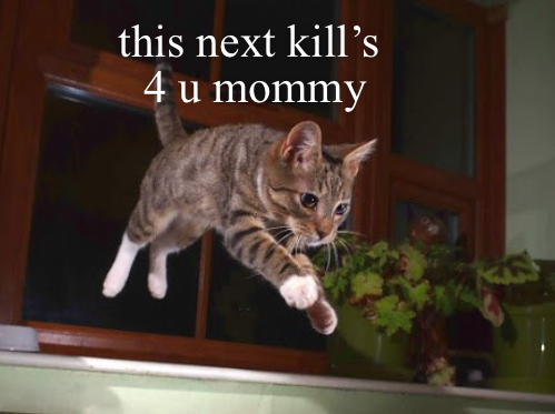 NOOOO! Really Not Necessary - Lolcats - lol | cat memes | funny cats ...