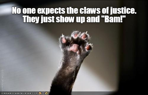 Justice must be served - Lolcats - lol | cat memes | funny cats | funny ...