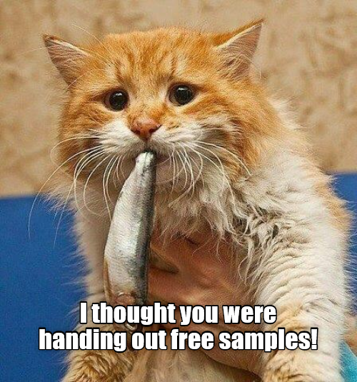 I thought you were handing out free samples! - Lolcats - lol | cat ...