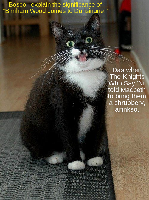 Bosco melds Macbeth and Monty Python - Lolcats - lol | cat memes ...