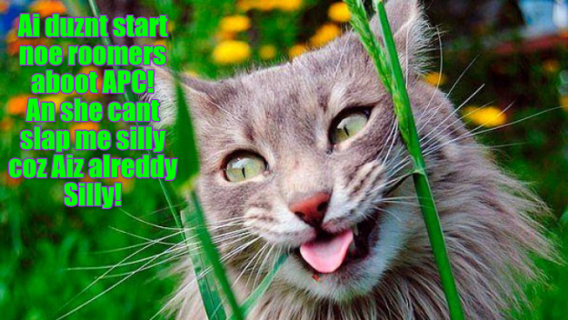 Too Late! - Lolcats - lol | cat memes | funny cats | funny cat pictures ...