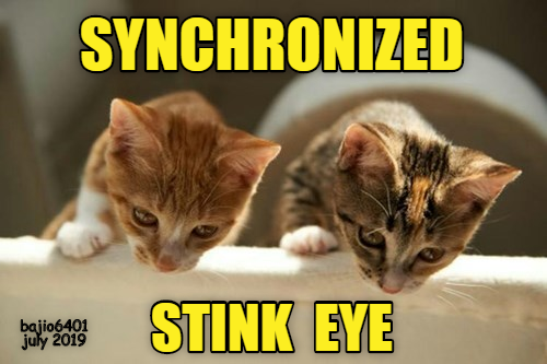THE SISTERS ARE EXCELLENT AT IT - Lolcats - lol | cat memes | funny ...