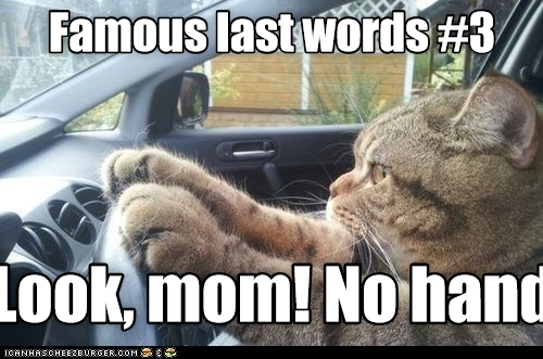 Famous last words # 3 - Lolcats - lol | cat memes | funny cats | funny ...