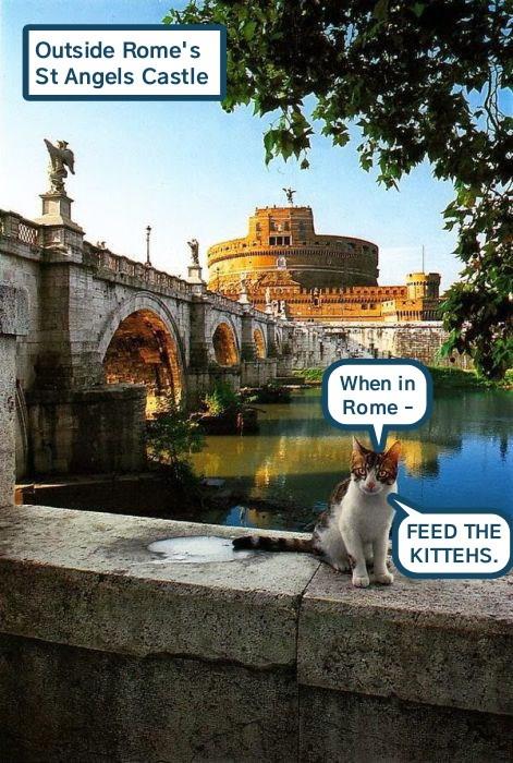 When in Rome - - Lolcats - lol | cat memes | funny cats | funny cat ...