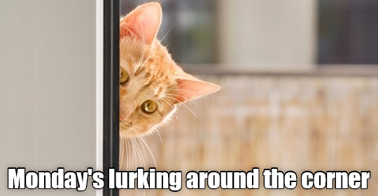 Don't remind me! - Lolcats - lol | cat memes | funny cats | funny cat ...