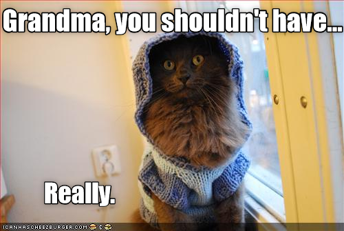 What hilarious attire is this?? - Lolcats - lol | cat memes | funny ...