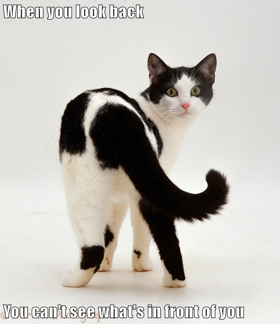 When you look back - Lolcats - lol | cat memes | funny cats | funny cat ...