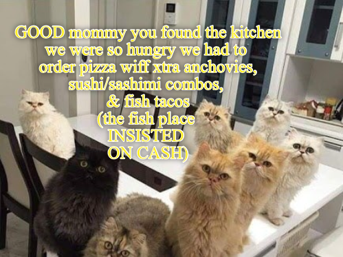 You’re LATE! - Lolcats - lol | cat memes | funny cats | funny cat ...