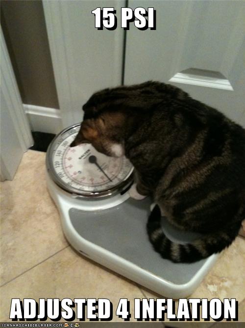 15 PSI ADJUSTED 4 INFLATION - Lolcats - lol | cat memes | funny cats ...