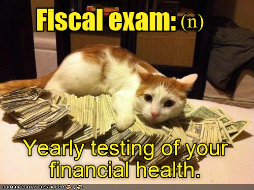Daffynition: Fiscal exam - Lolcats - lol | cat memes | funny cats ...