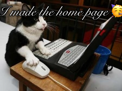 Lolcats - laptop - LOL at Funny Cat Memes - Funny cat pictures with ...