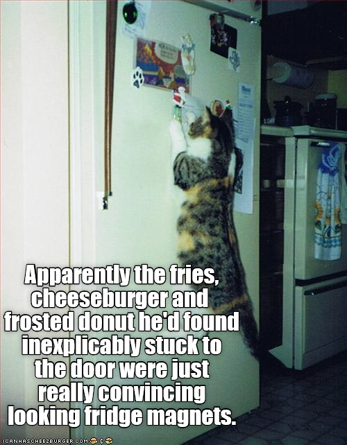 Kitchen & Dining Cat Meme #78 Fridge Magnet Kitchen Décor etna.com.pe