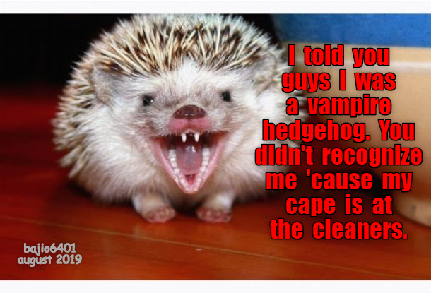 THE FANGS SHOULD PROVE IT TO YOU - Animal Comedy - Animal Comedy, funny ...