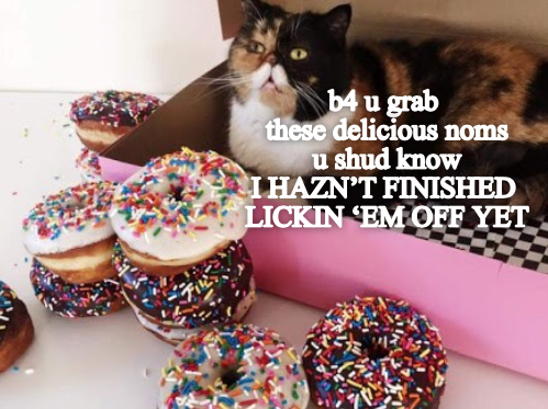 Feline Work Ethics - Lolcats - lol | cat memes | funny cats | funny cat ...