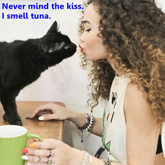 Never mind the kiss - Lolcats - lol | cat memes | funny cats | funny cat pictures with words on ...