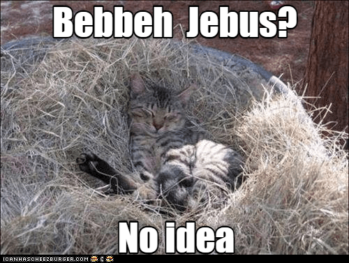 I is Jeebus now and Ceiling Cat is my father - Lolcats - lol | cat ...