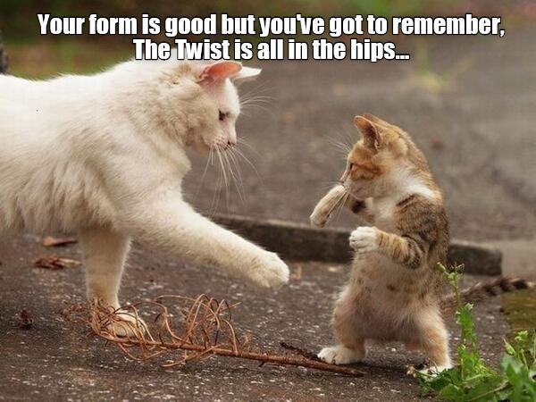 Dancing Lessons - Lolcats - lol | cat memes | funny cats | funny cat ...