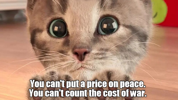 Earnest Kitten is earnest - Lolcats - lol | cat memes | funny cats ...