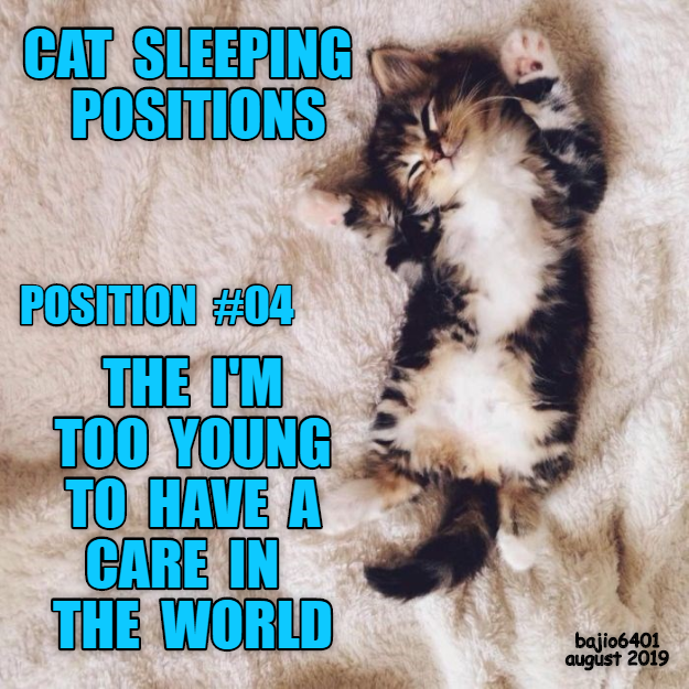 THE GUIDE TO CAT SLEEPING POSITIONS - Lolcats - lol | cat memes | funny ...