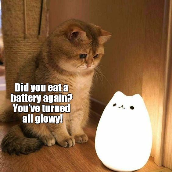 Did you eat a battery? - Lolcats - lol | cat memes | funny cats | funny ...