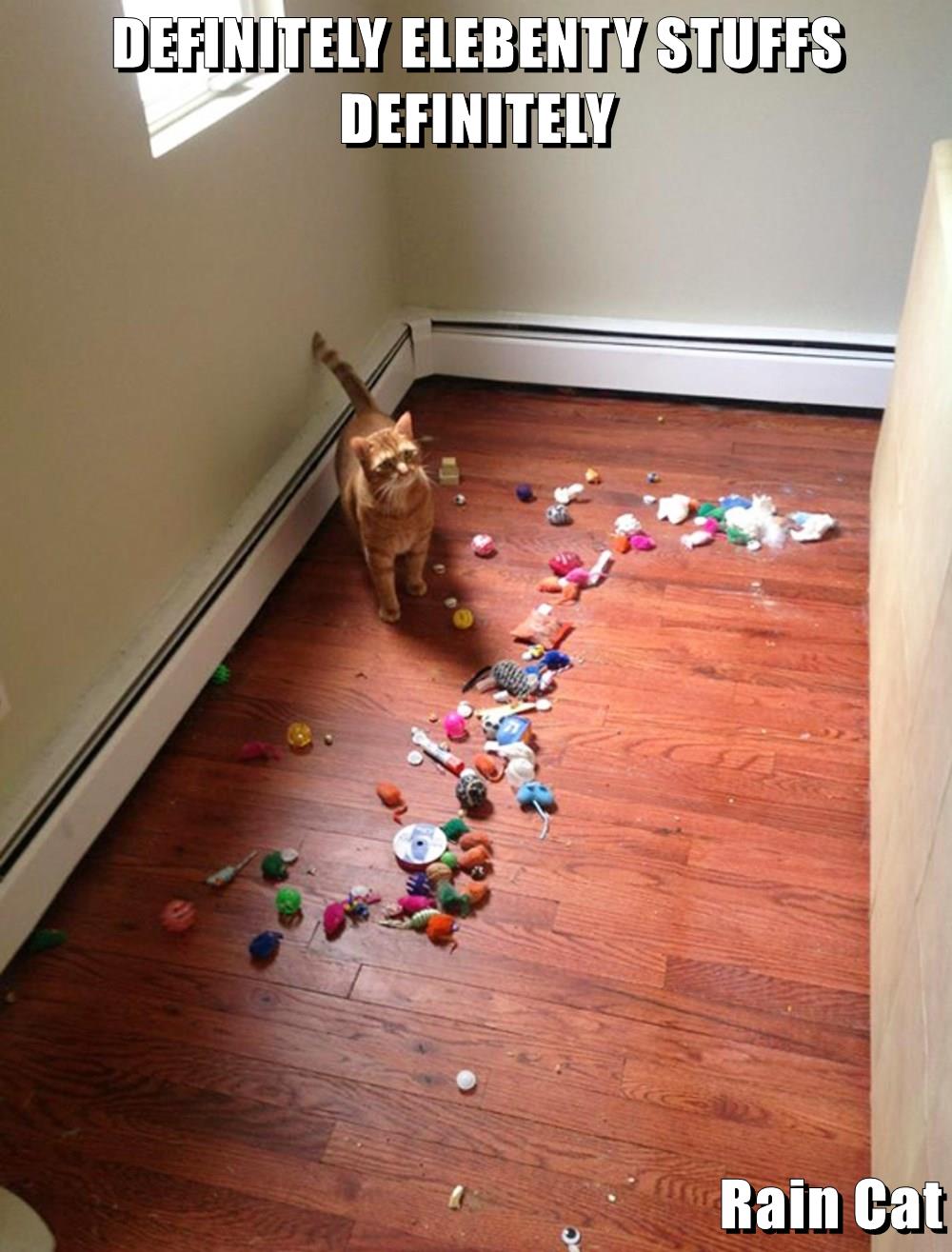 Rain Cat - Lolcats - lol | cat memes | funny cats | funny cat pictures ...