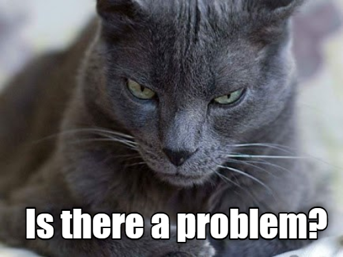Is there a problem? - Lolcats - lol | cat memes | funny cats | funny ...