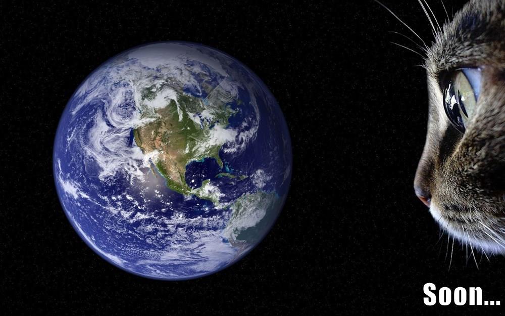 Soon... - Lolcats - lol | cat memes | funny cats | funny cat pictures with words on them | funny ...