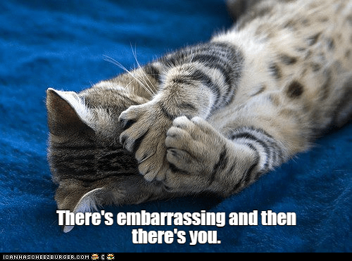 Stop! - Lolcats - lol | cat memes | funny cats | funny cat pictures ...