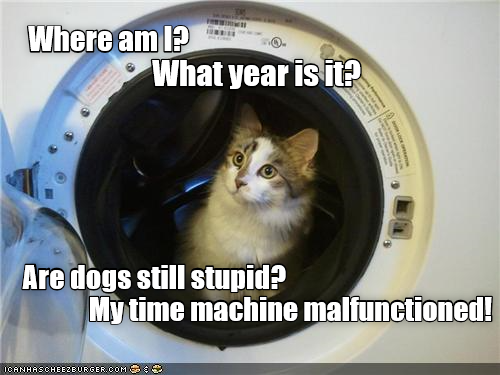 My time machine must have malfunctioned! - Lolcats - lol | cat memes ...