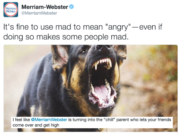 The Merriam-Webster Twitter Account is Has a Perfect Burn For You ...