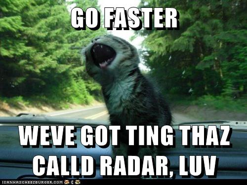 GO FASTER - Lolcats - lol | cat memes | funny cats | funny cat pictures ...