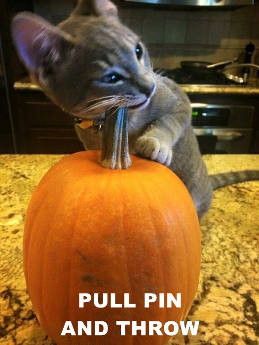 PULL PIN AND THROW - Lolcats - lol | cat memes | funny cats | funny cat ...