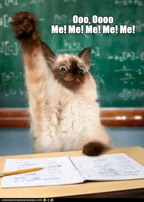 Ooo, Ooooo - Lolcats - lol | cat memes | funny cats | funny cat ...