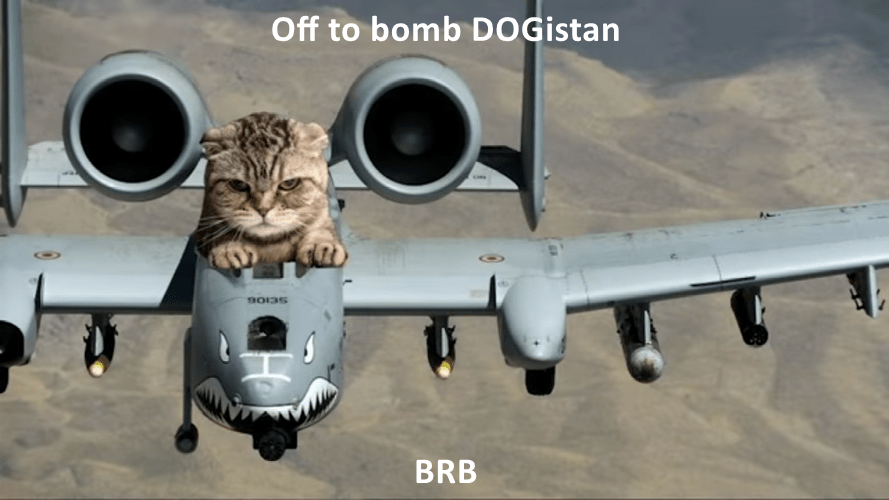 Off to bomb DOGistan - Lolcats - lol | cat memes | funny cats | funny ...