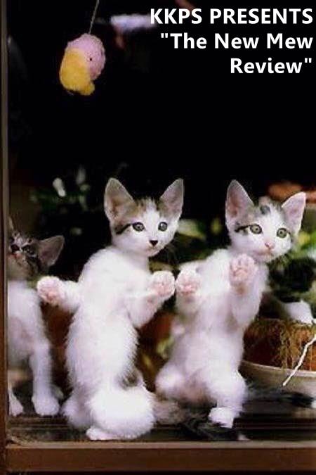 "The New Mew Review" - Lolcats - lol | cat memes | funny cats | funny ...