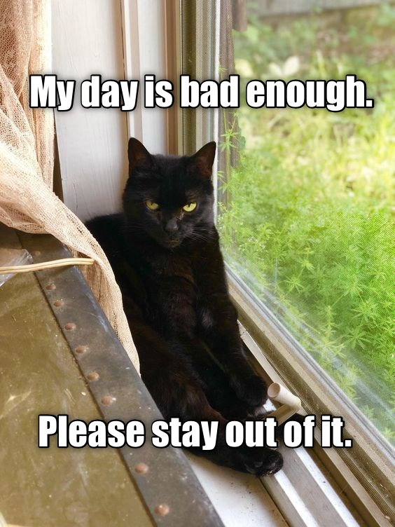 If you know what's good for ya, you'll stay away. - Lolcats - lol | cat ...