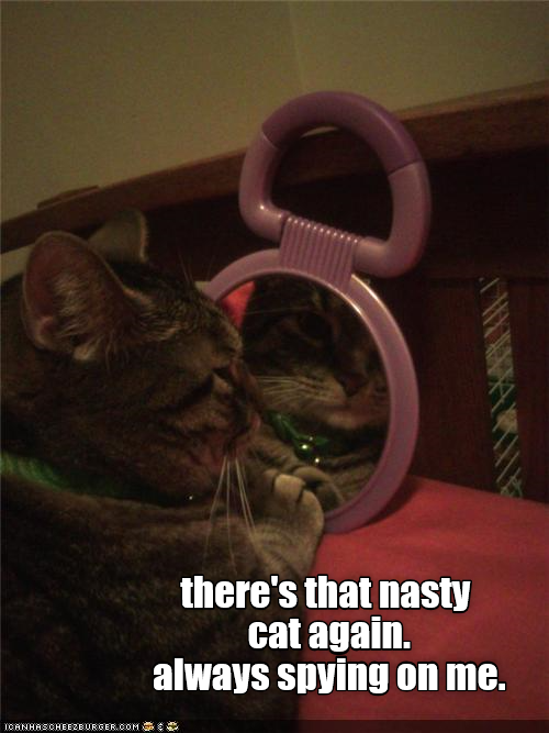 There's it is. Again! - Lolcats - lol | cat memes | funny cats | funny ...