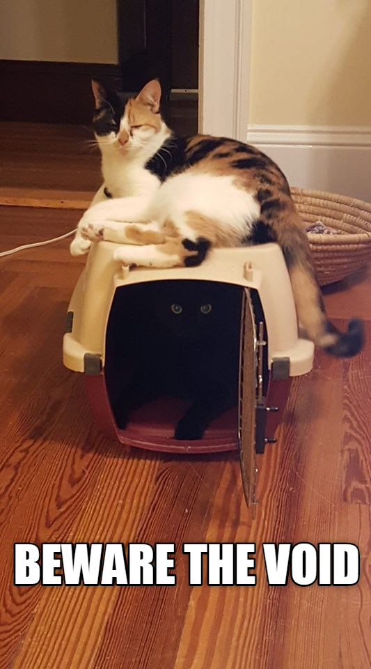 BEWARE THE VOID - Lolcats - lol | cat memes | funny cats | funny cat ...
