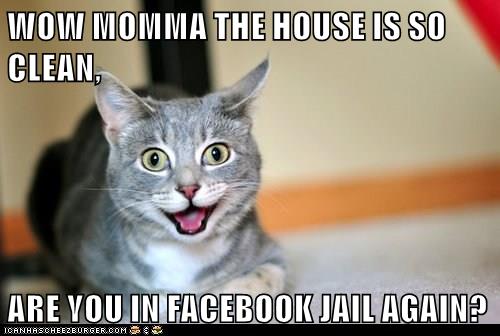 WOW, MOMMA - Lolcats - lol | cat memes | funny cats | funny cat ...