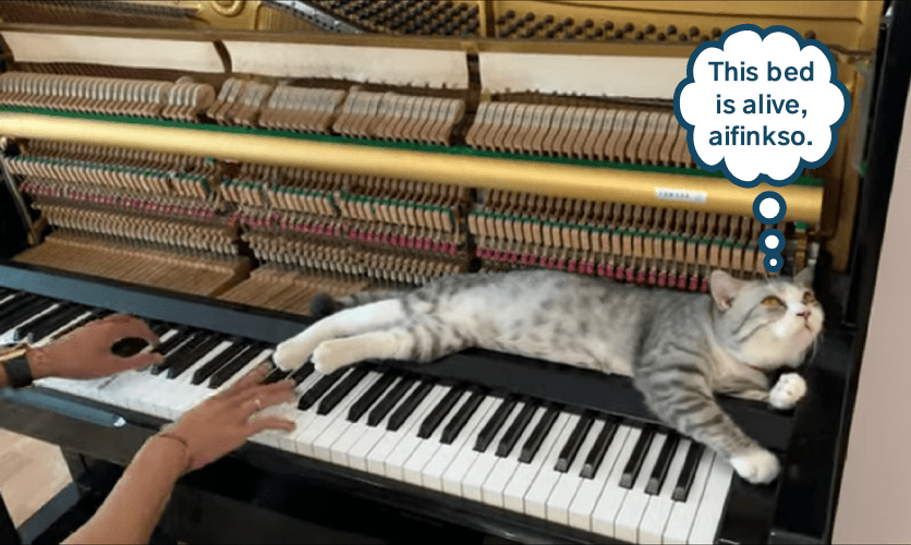 It keeps poking me - Lolcats - lol | cat memes | funny cats | funny cat ...