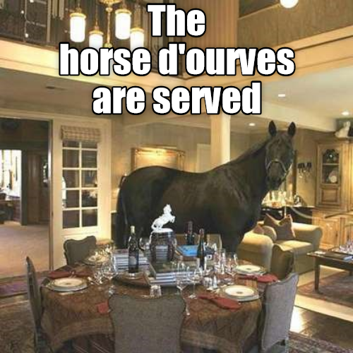 I'm never eating here again... - Animal Comedy - Animal Comedy, funny ...